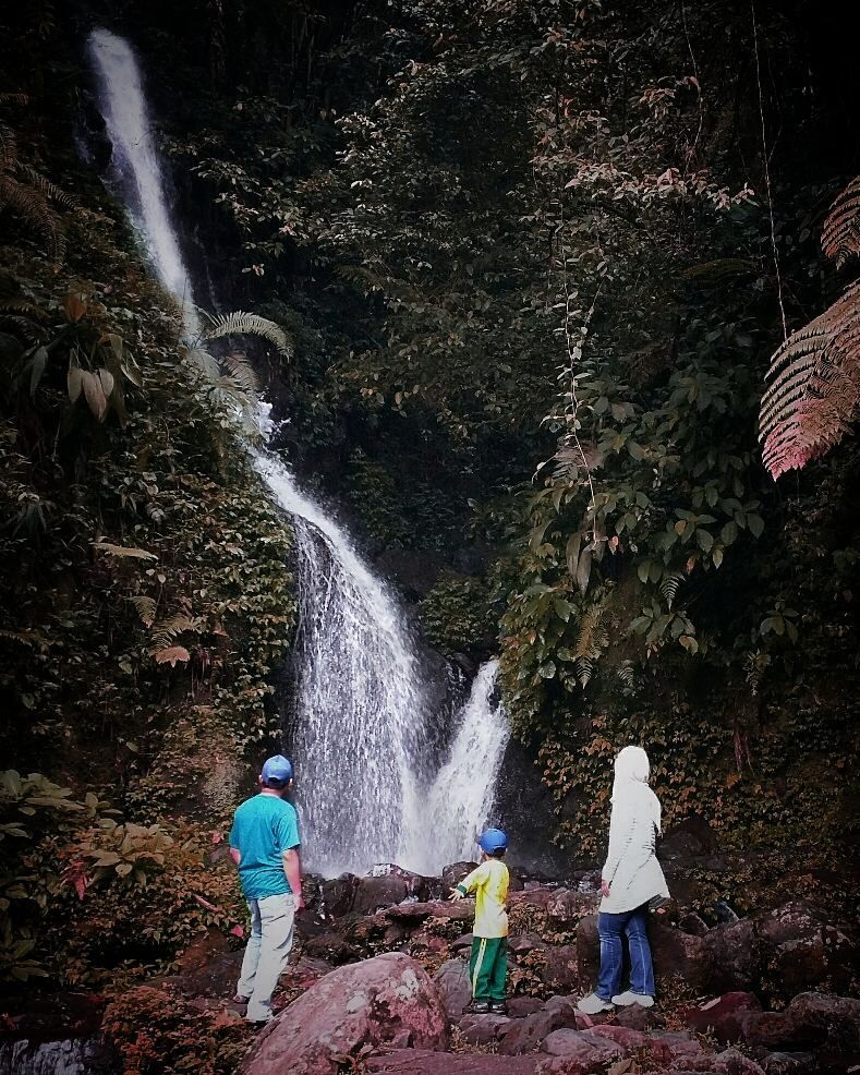 Ini Spot Menarik Berakhir Pekan di Kebun Raya Cibodas, Ada Apa Saja Sih ...