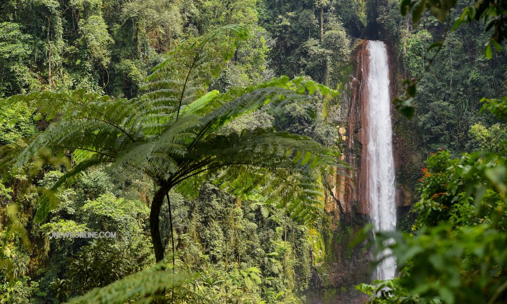 Curug Terdekat Jakarta yang Indah - JNEWS Online