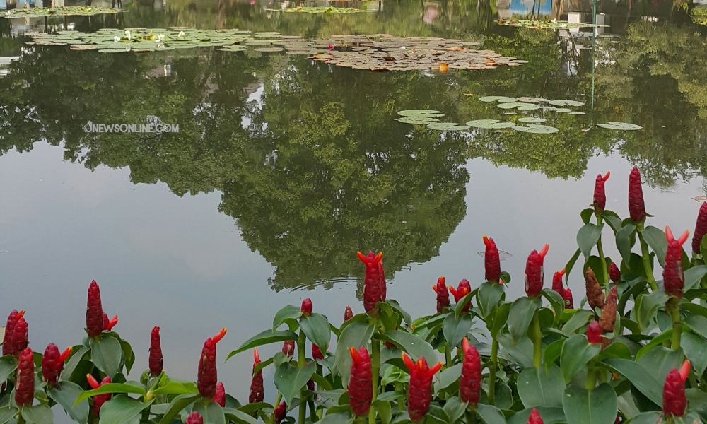 Taman Kota di Jakarta untuk Santai - JNEWS Online