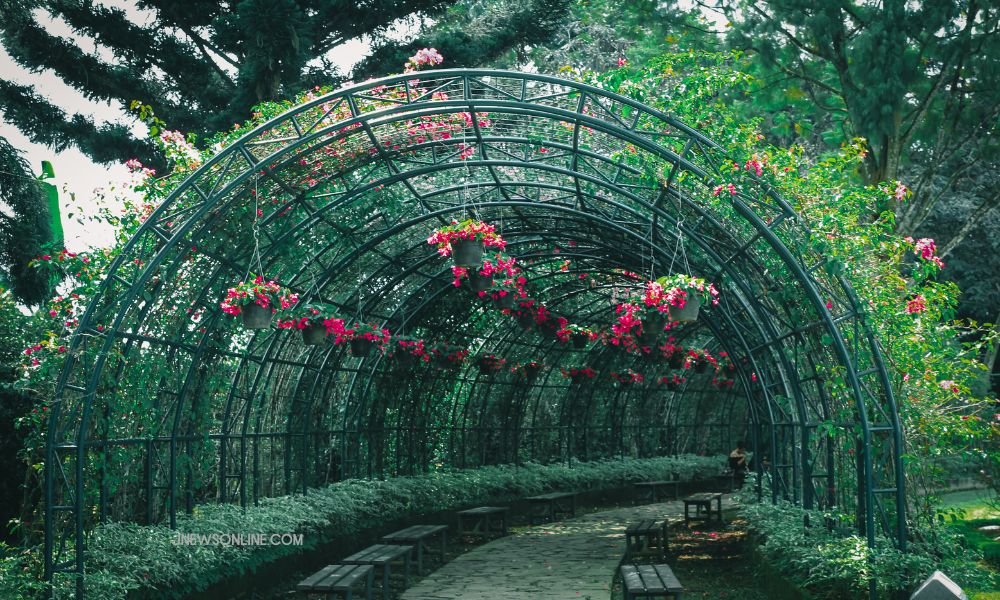 Wisata Puncak yang Instagrammable - JNEWS Online